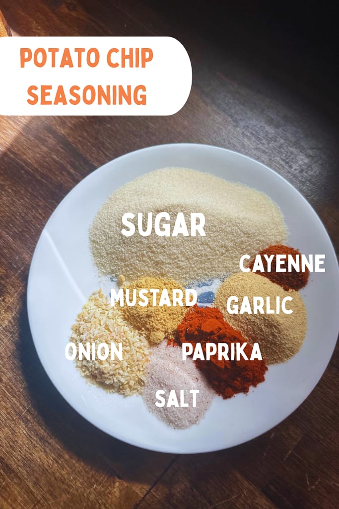 DIY BBQ Chip Seasoning Blend - Plain Living