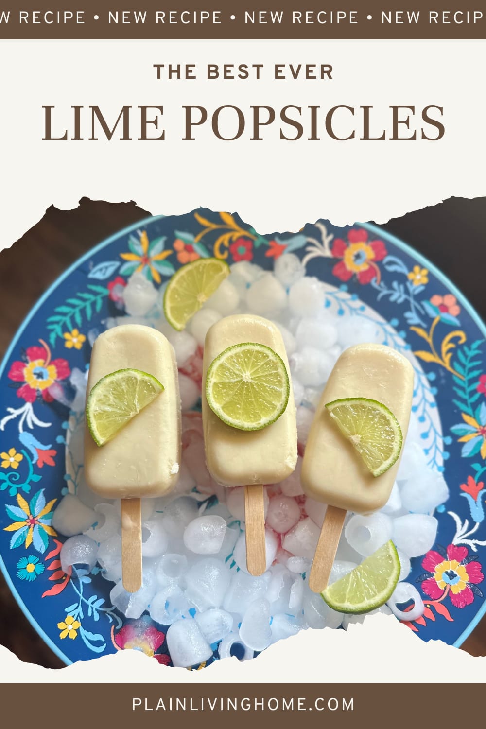 Easy 3 Ingredient Refreshing Homemade Lime Popsicles - Plain Living